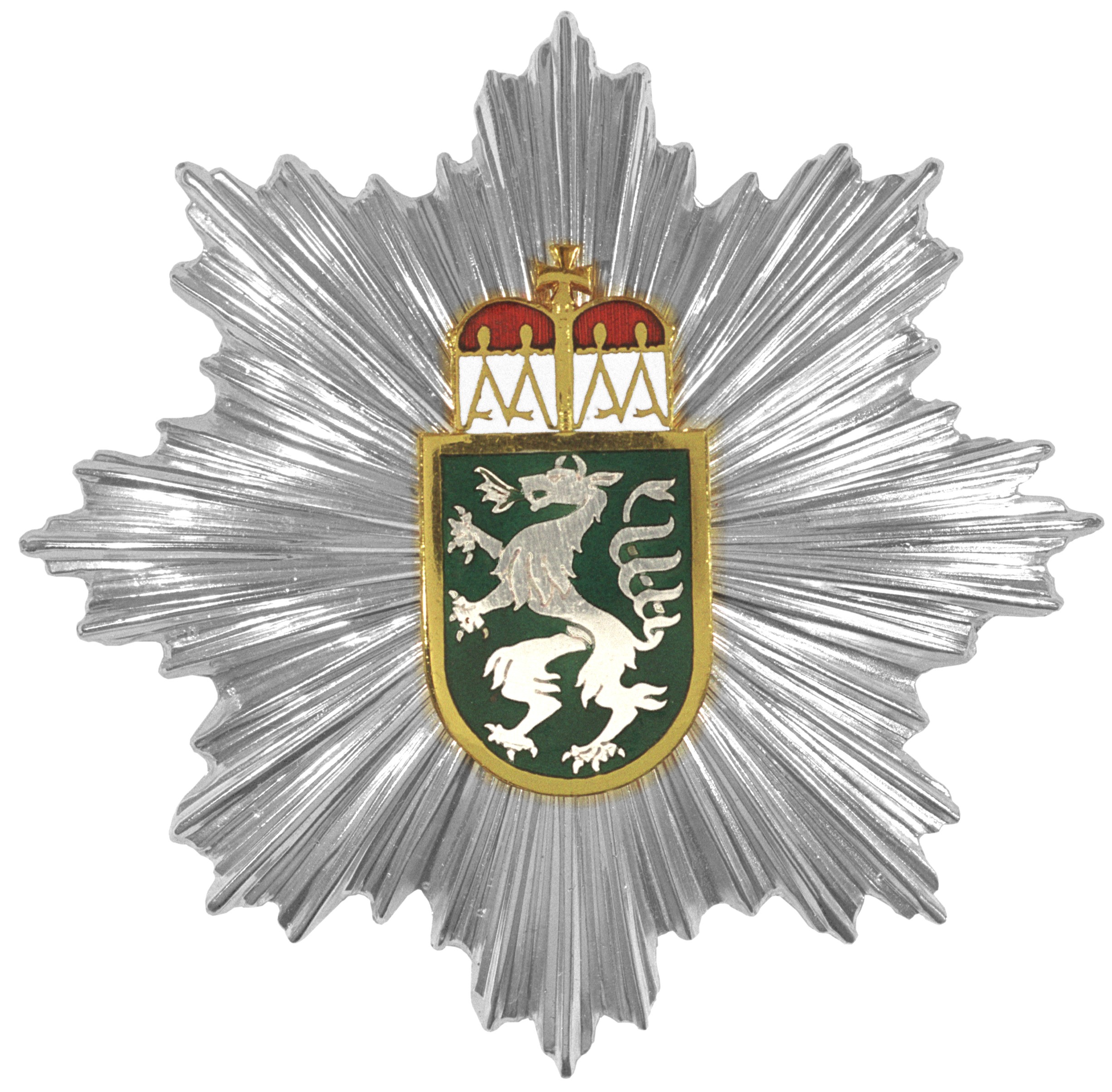 Großes Goldenes Ehrenzeichen des Landes Steiermark mit dem Stern ...